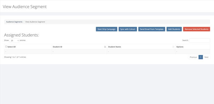How to Create an Audience Segment